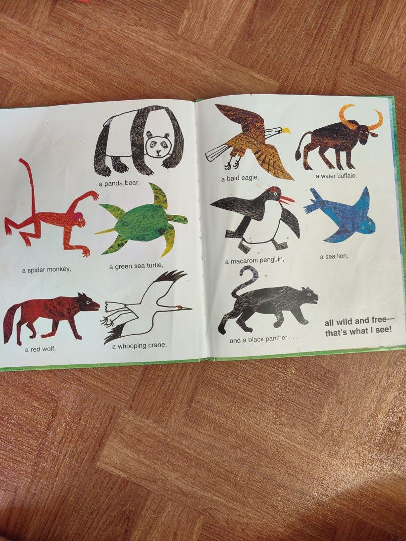 Eric Carle What do you see? (Panda), Hobbies & Toys, Books & Magazines ...