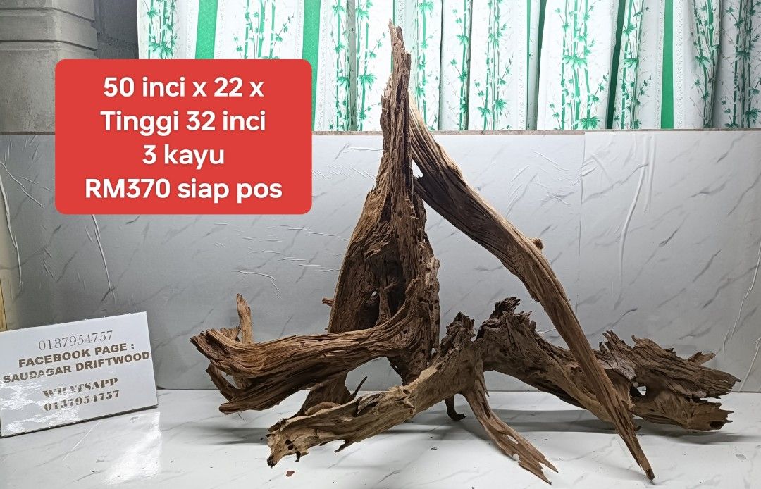 kayu hiasan aquarium 3 driftwood besar tank 5 kaki Pontian-JB free ...