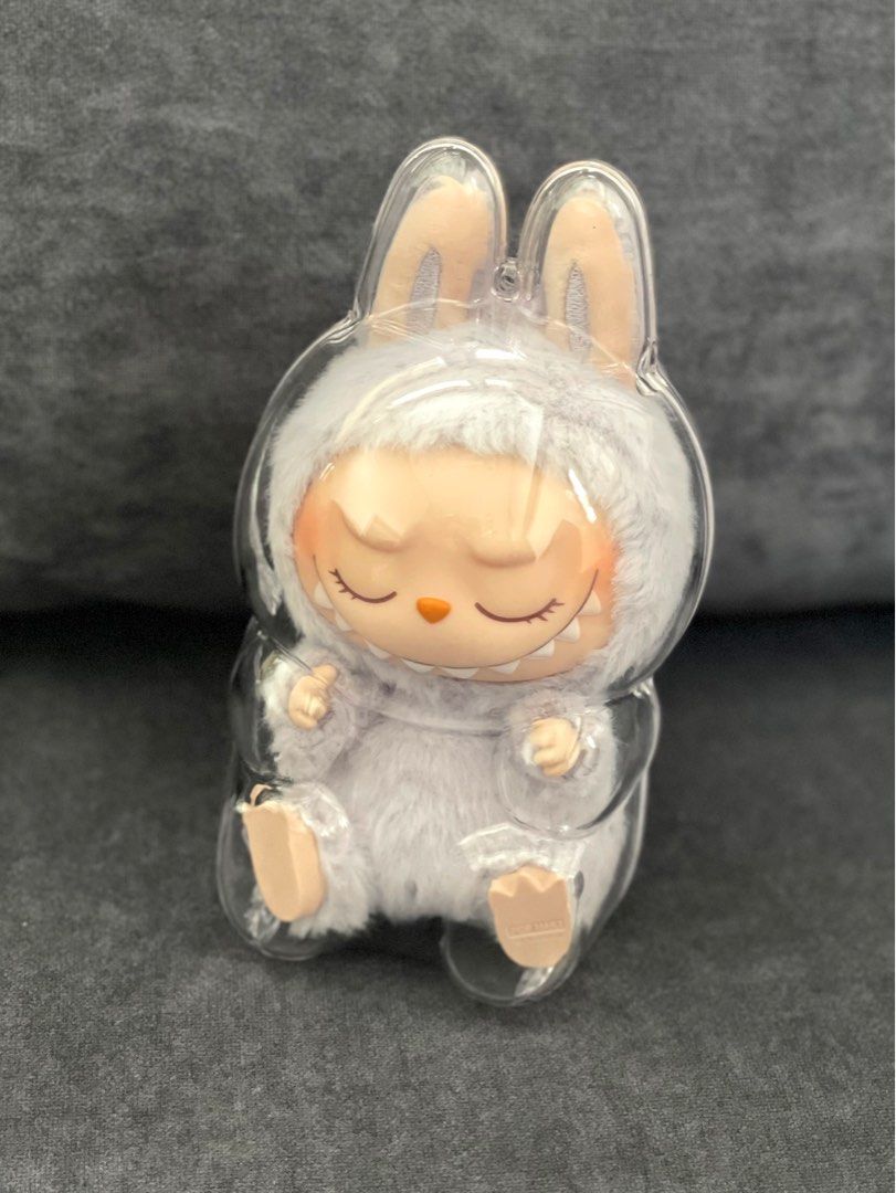 Labubu V2 Acrylic Case, Hobbies & Toys, Toys & Games on Carousell