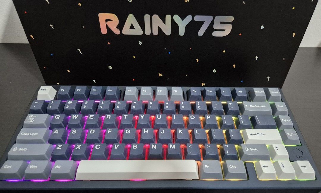 Rainy75 PRO WOBKey Mechanical Keyboard Navy - Snow Ink switches ...