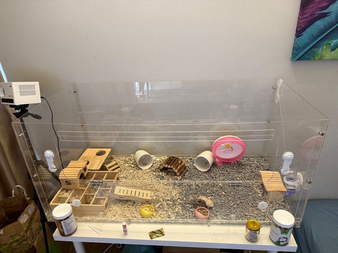 Acrylic cage for hamster/lizard/hedgehog (door open on top and side ...