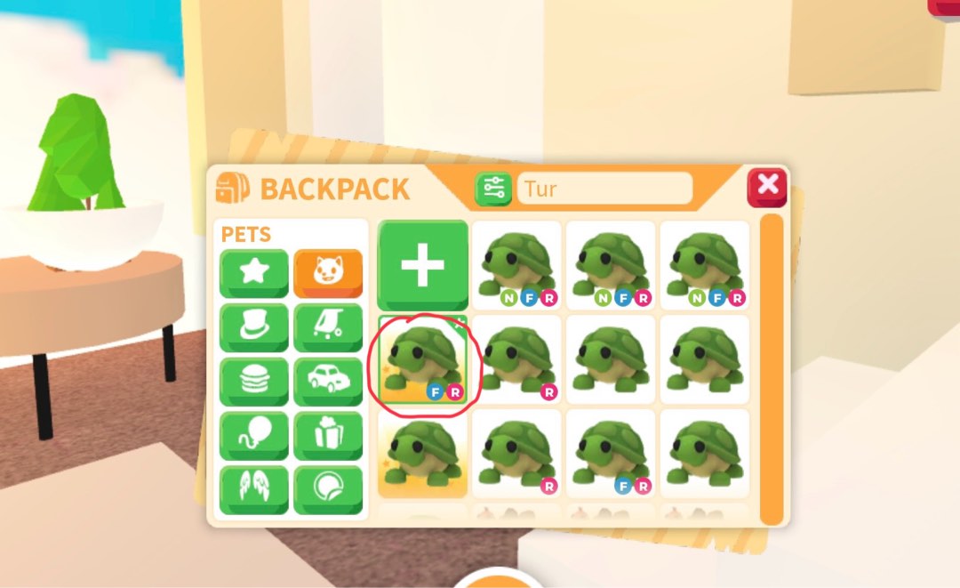 Adopt Me Fr Turtle, Video Gaming, Video Games, Others on Carousell