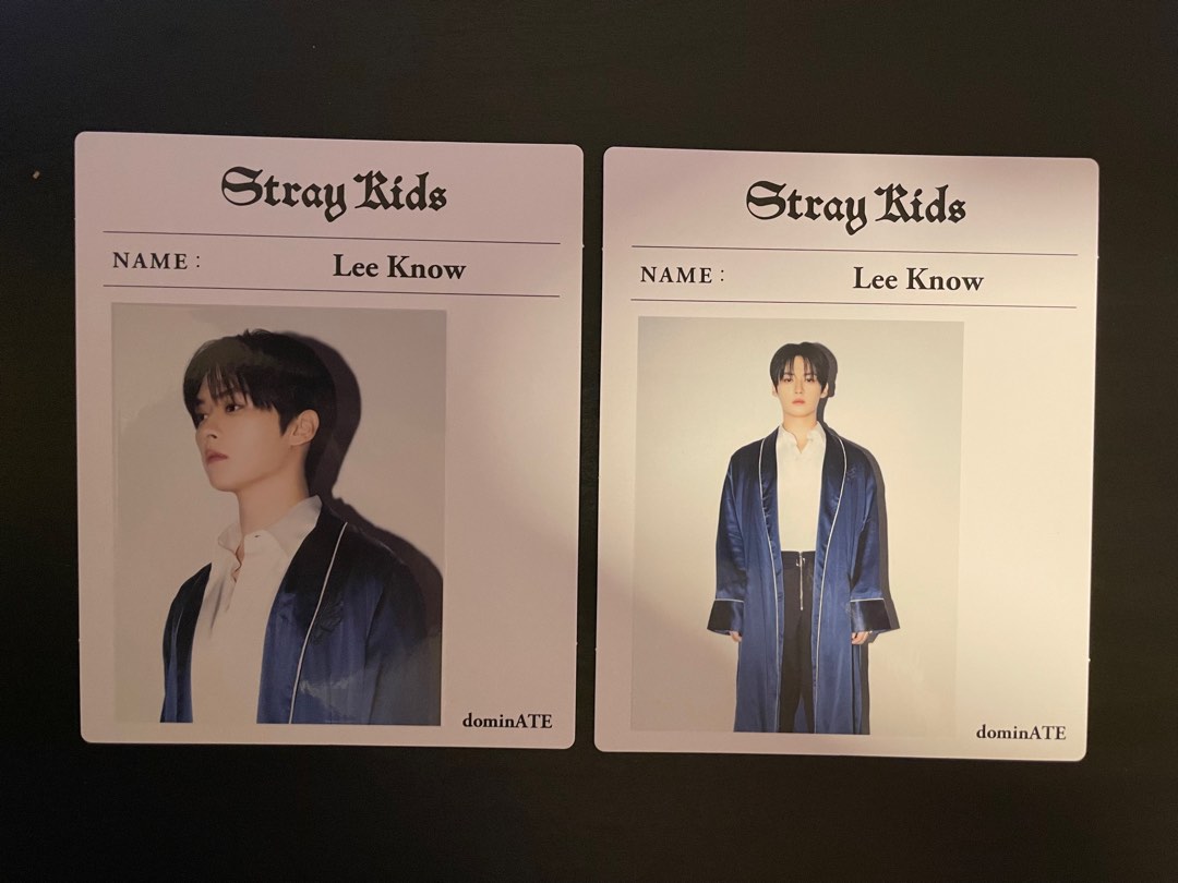Stray Kids dominATE Japan Instant Photos - Lee Know, Hobbies & Toys ...