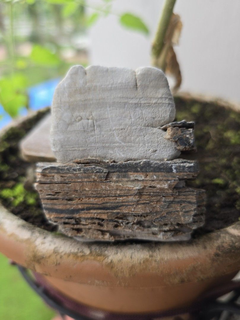 茶道-Art of Tea-100% Natural Billion years old Multi Layer Sedimentary ...