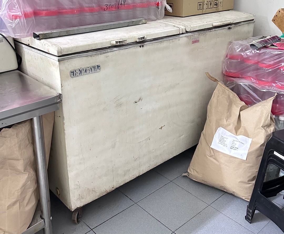 Berjaya Chest Freezer, TV & Home Appliances, Other Home Appliances on ...