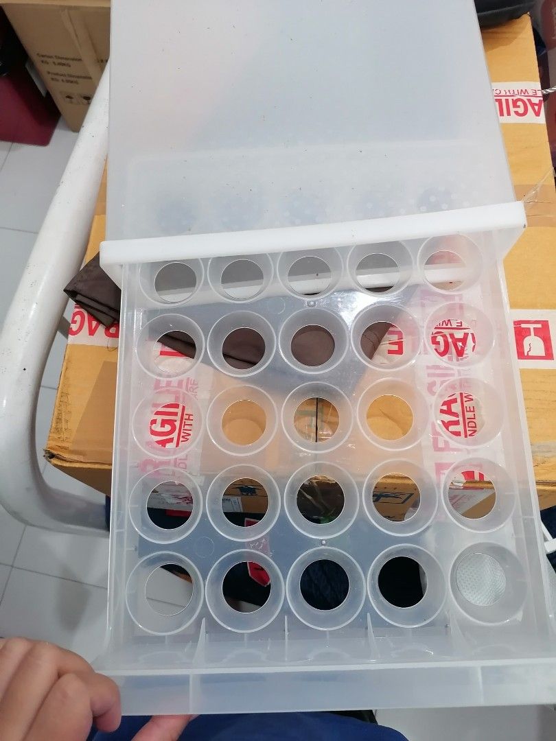 Egg storage/ Kotak Simpan Telur, Furniture & Home Living, Kitchenware ...