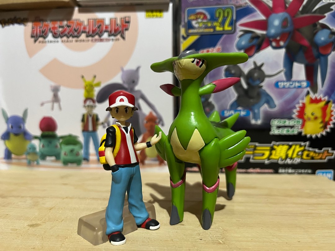 Pokemon T arts verizion, Hobbies & Toys, Toys & Games on Carousell