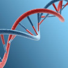 Pure biology O level syllabus handwritten notes (e-notes), Hobbies ...