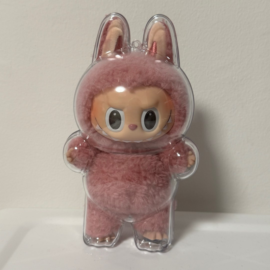 Labubu V1 Hard Case, Hobbies & Toys, Toys & Games on Carousell