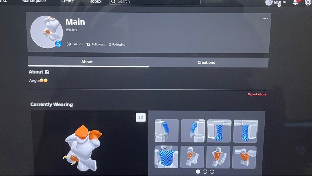 Roblox main account!!!, Hobbies & Toys, Toys & Games on Carousell