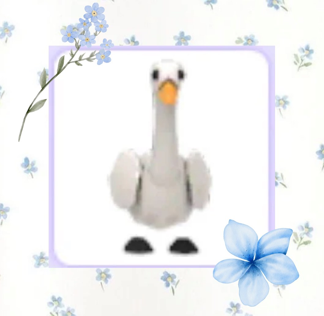 Swan adopt me pet!, Video Gaming, Gaming Accessories, In-Game Products ...