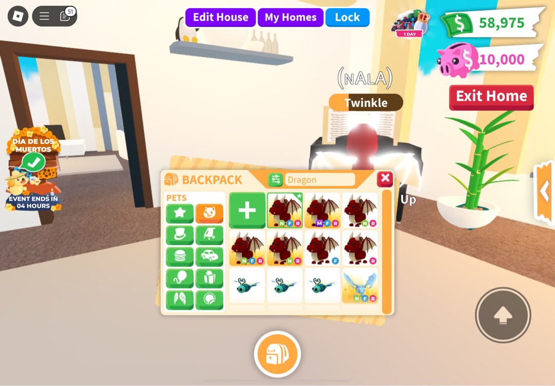Adopt Me NFR Dragon, Video Gaming, Video Games, Others on Carousell