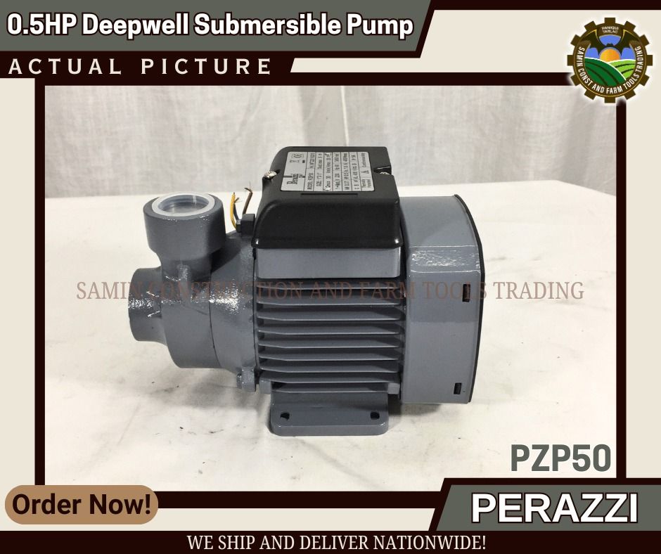 PERAZZI Italy 0.5HP Peripheral Vortex Booster Water Pump (PZP50 ...