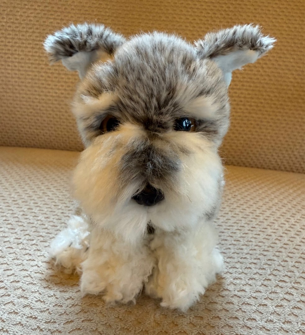 Schnauzer Soft Toy, Hobbies & Toys, Toys & Games on Carousell