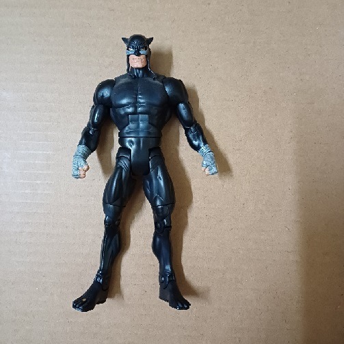 DC Universe Classics Wildcat JSA Figure DCUC Multiverse Mattel, Hobbies ...