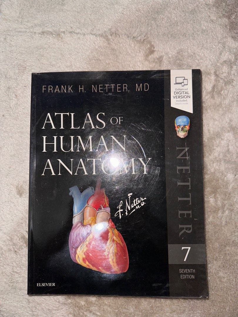Netter's Atlas of Human Anatomy 7th ed., Hobbies & Toys, Books ...
