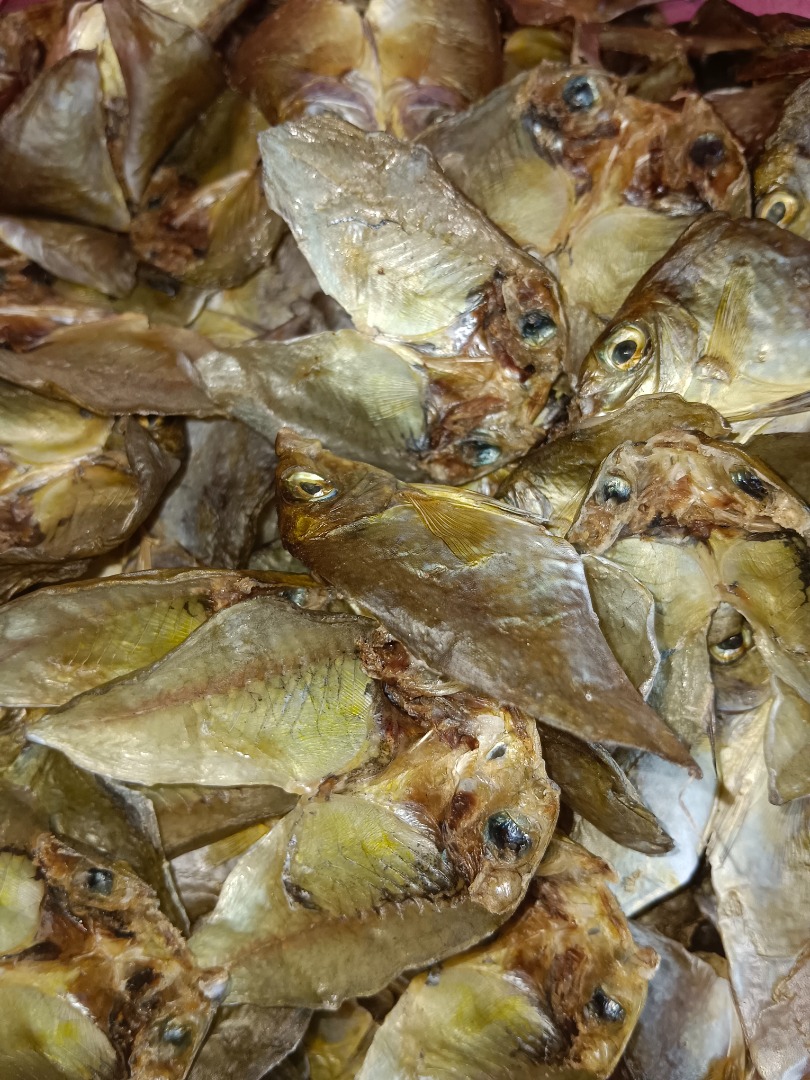 Dried Fish Danggit Unsalted from Bantayan island, Food & Drinks, Local ...