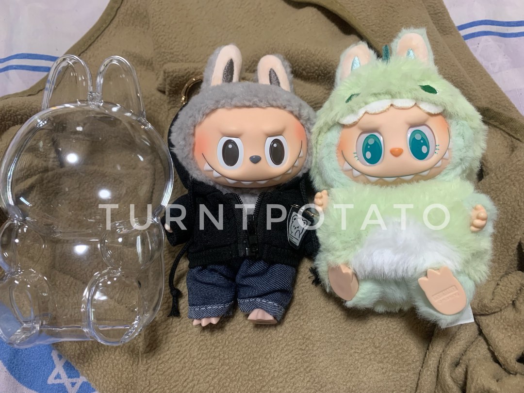 Labubu V1 and V2(Opened Foil) Slight Damaged Box and No box, Hobbies ...