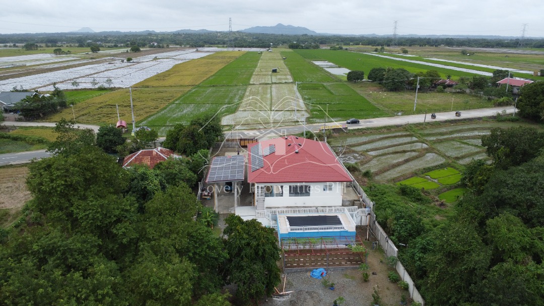 2.8 Hectare Farm Lot with a FREE Eco-Friendly 3BR Western-Style ...