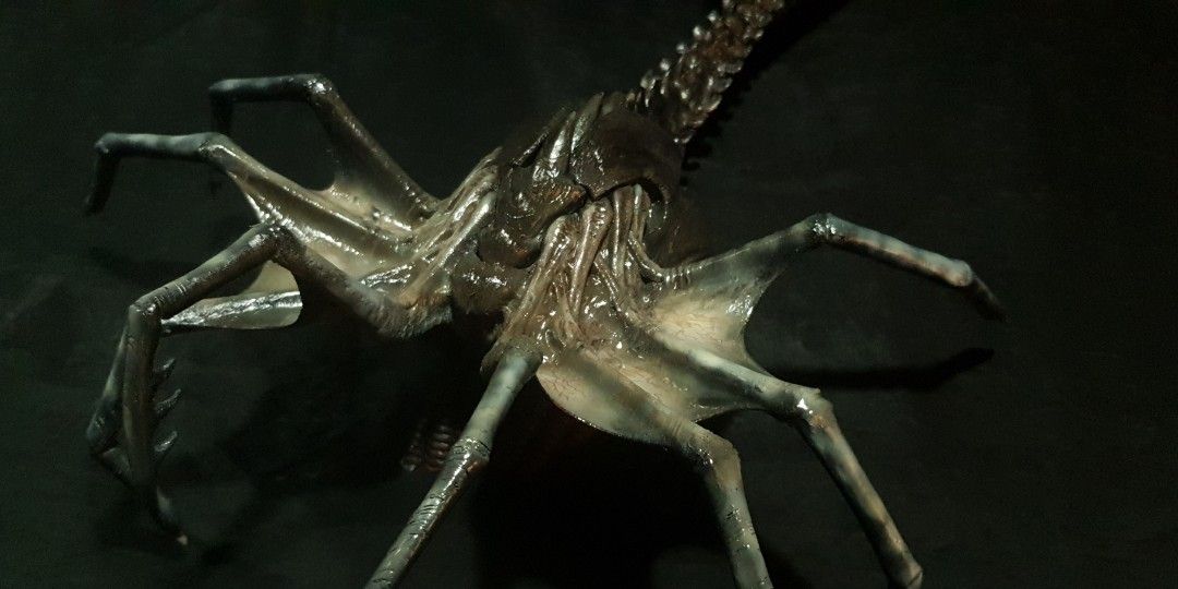 CUSTOM 1/2 SCALE ALIEN QUEEN FACEHUGGER MAQUETTE NOT SIDESHOW, Hobbies & Toys, Toys & Games on ...