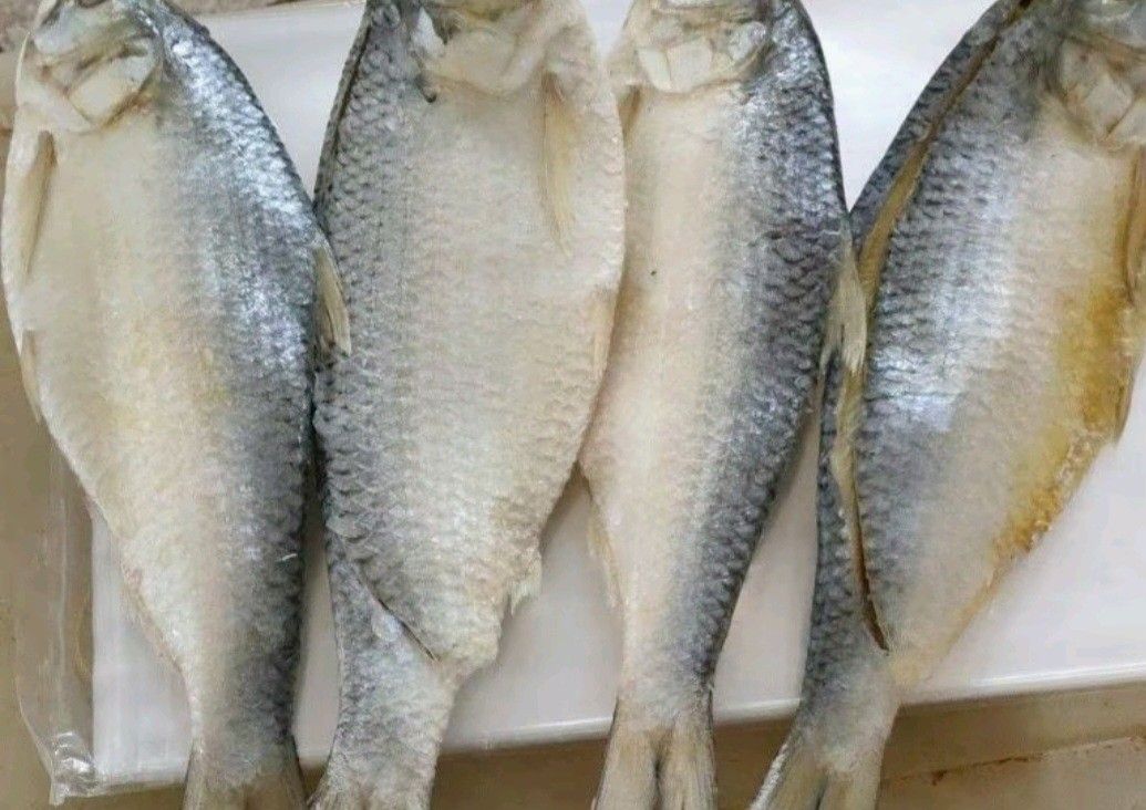 IKAN TERUBUK MASIN SARAWAK, Food & Drinks, Local Eats on Carousell