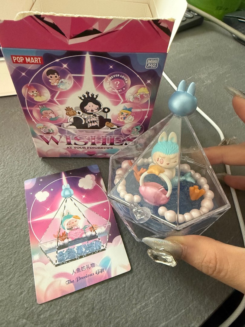 labubu wishes, Hobbies & Toys, Toys & Games on Carousell