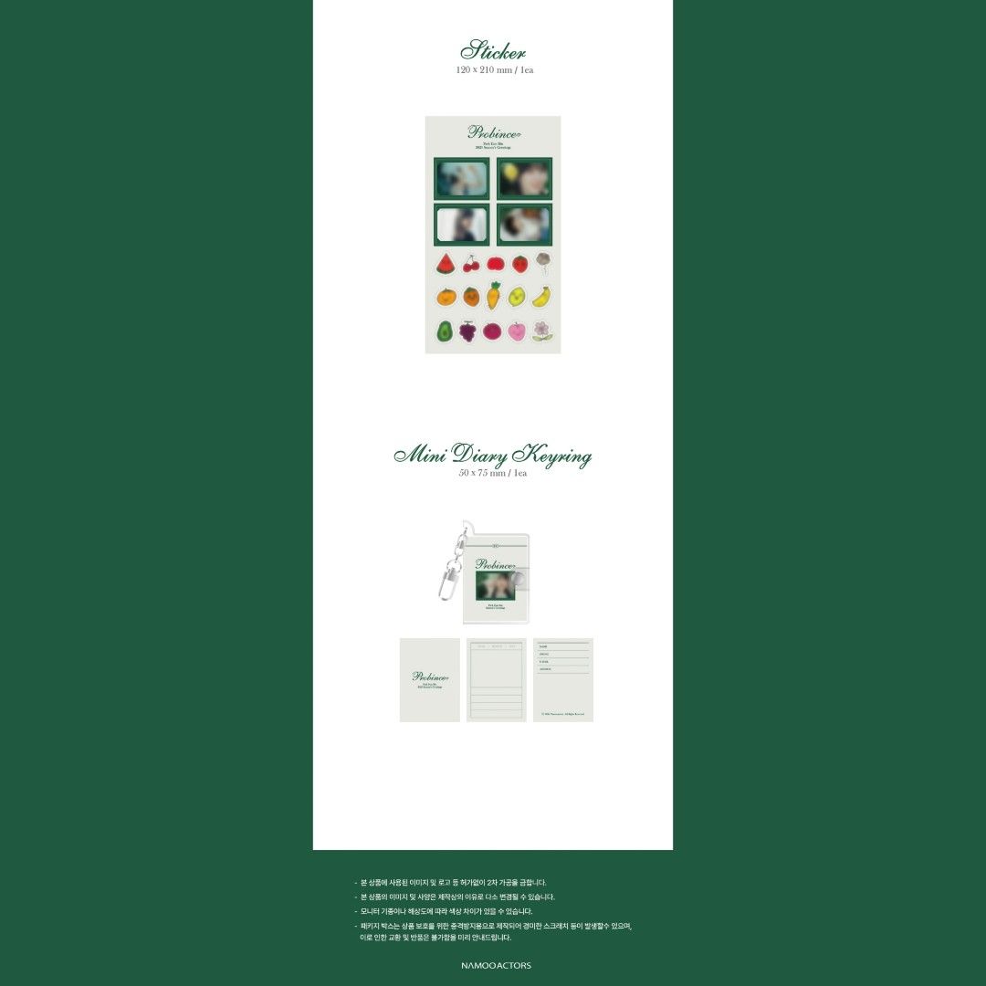 Park Eun Bin - 2025 SEASON'S GREETINGS 'Probince', Hobbies & Toys, Collectibles & Memorabilia, K ...