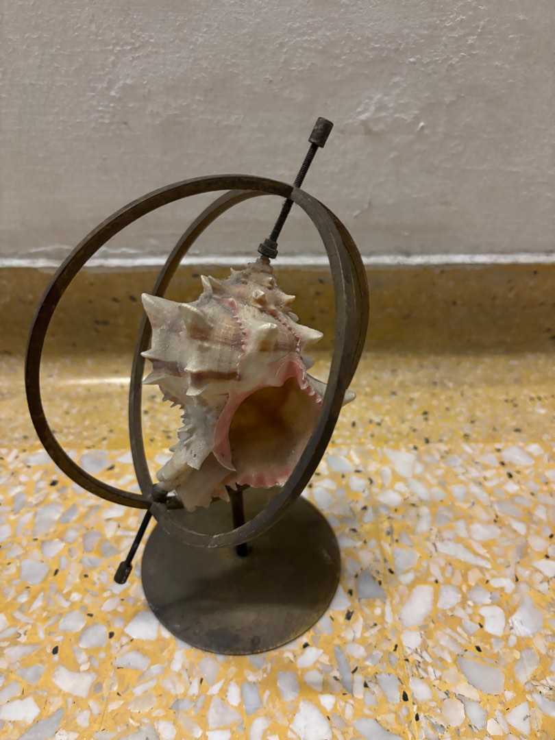 Vintage spiked conch shell with brass stand, Furniture & Home Living ...