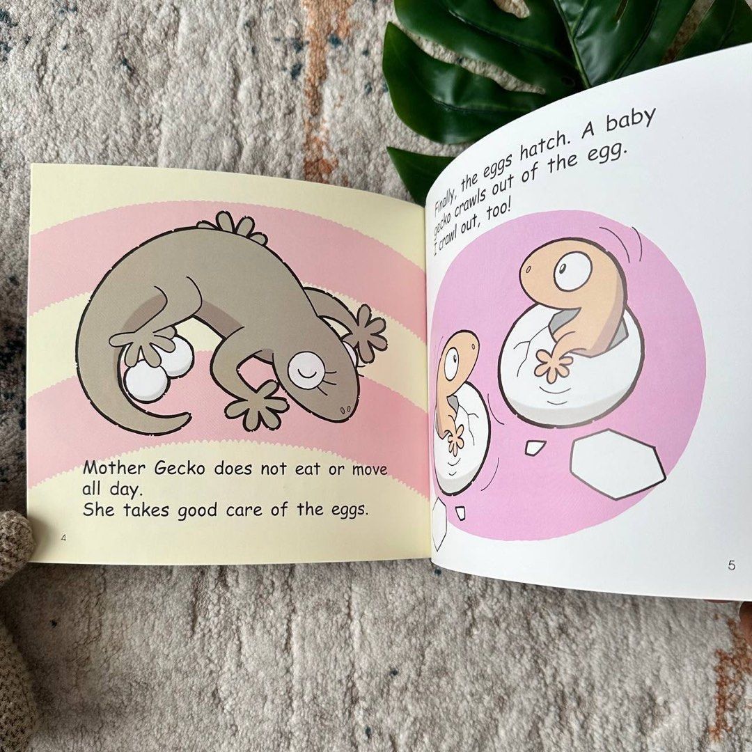 Hello Animals! “Little Gecko Loses Its Tail!” (a first science ...