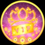 Roblox Dress To Impress DTI Permanent VIP Gamepass Cheap, Video Gaming ...