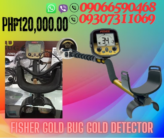 scanner fisher gold bug metal detector and gold detector, Everything ...