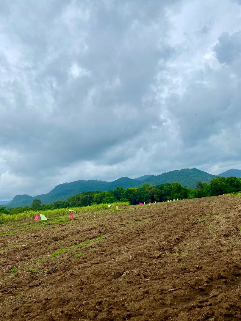 SUBDIVIDED FARM LOT FOR SALE AT NASUGBU BATANGAS, Property, For Sale ...