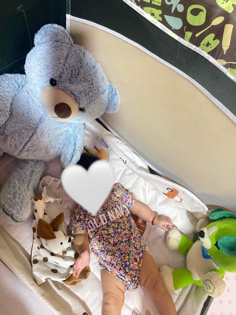 Giant Carrier Crib, Babies & Kids, Baby Nursery & Kids Furniture, Cots ...