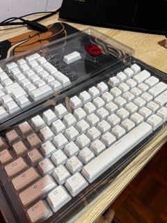 RK100 + Pudding keycaps, Computers & Tech, Parts & Accessories ...