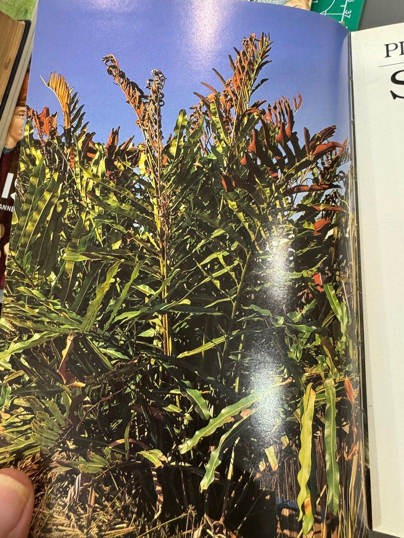 VINTAGE HARDCOVER BOOK: Plants and Flowers of Singapore by Ivan Polunin ...