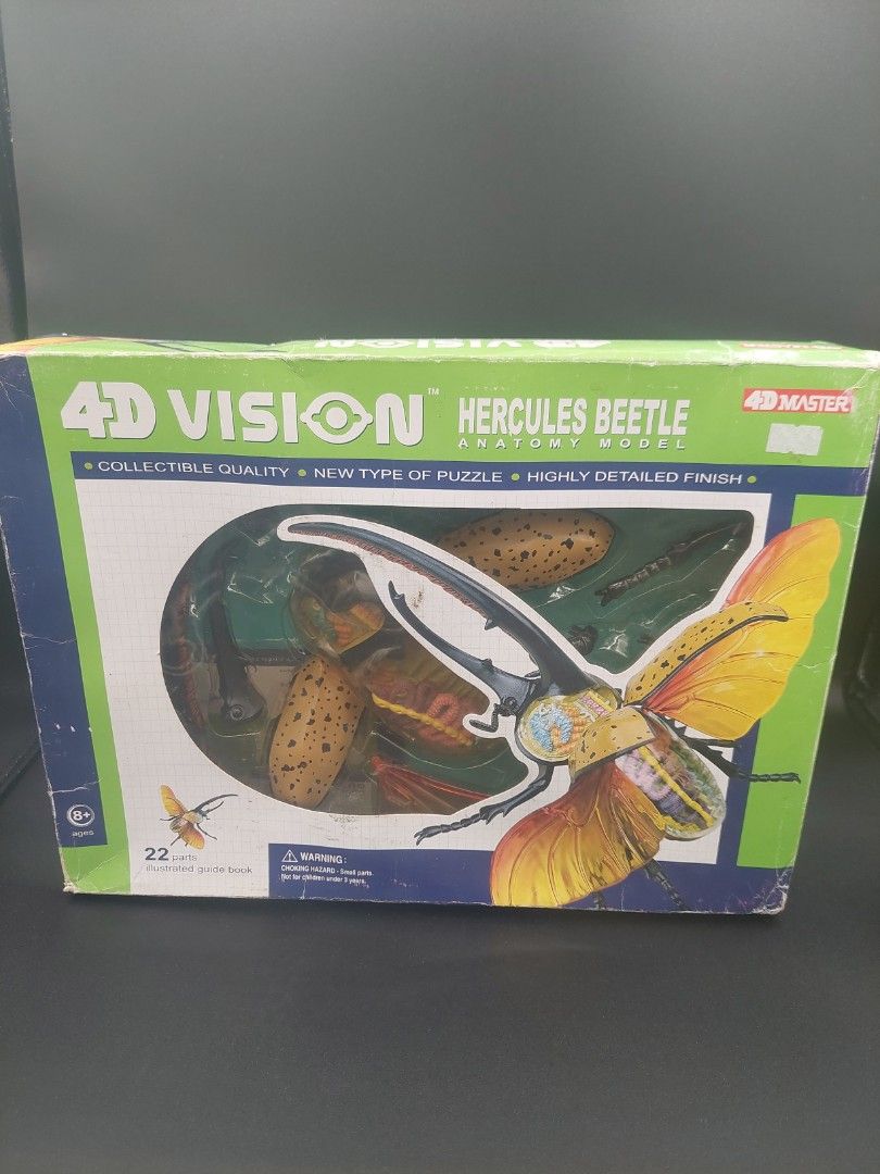 4d vision hercules beetle anatomy, Hobbies & Toys, Memorabilia ...