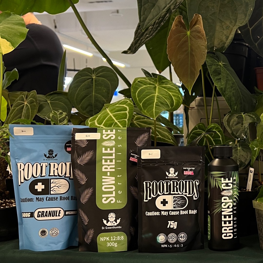 Dr Greenthumbs Slow Release, Fertilizer, Root Roids, Furniture & Home ...