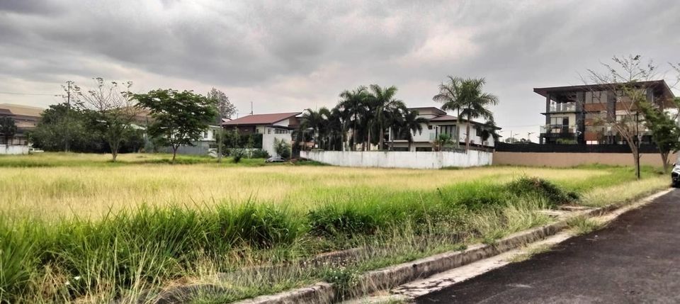 FOR SALE | Beautiful and Prime Lot in Brittany, Neopolitan, Fairview ...