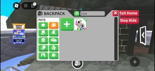 NFR Kitsune and NFR King Bee / Neon Fly Ride Kitsune and Neon Fly Ride ...