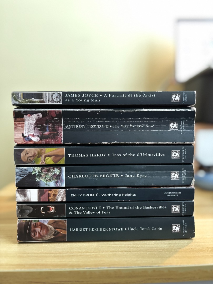 [Bundle] A Portrait of the Artist, The Way We Live Now, Tess of the d ...