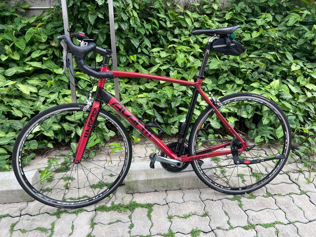 Avanti Vivace Road Bike 58cm Frame, Sports Equipment, Bicycles & Parts ...