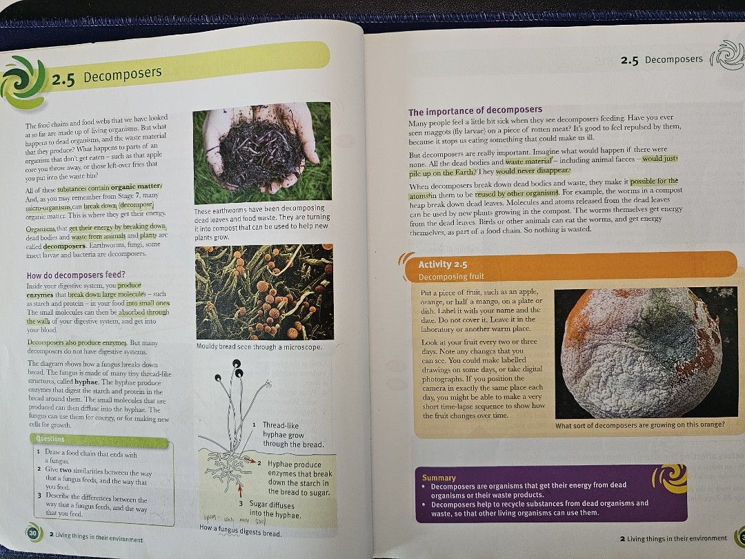 Cambridge Checkpoint Science Coursebook (Year 9) (ISBN 9781107626065 ...