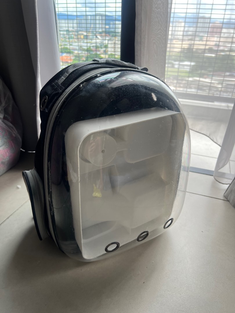 Cat carrier /Beg Kucing, Pet Supplies, Homes & Other Pet Accessories on ...