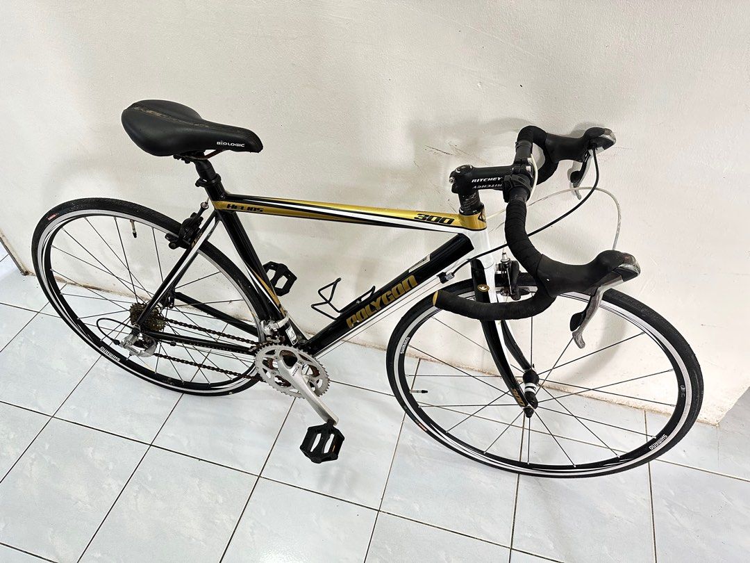 Roadbike Helios Polygon 300, Everything Else, Others on Carousell
