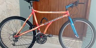 Sepeda kalcer Dijual | Carousell Indonesia