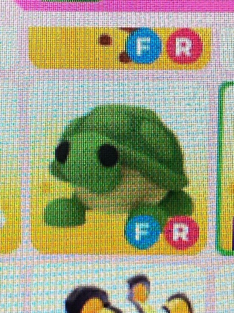 ADOPT ME FR TURTLE, Video Gaming, Video Games, Others on Carousell