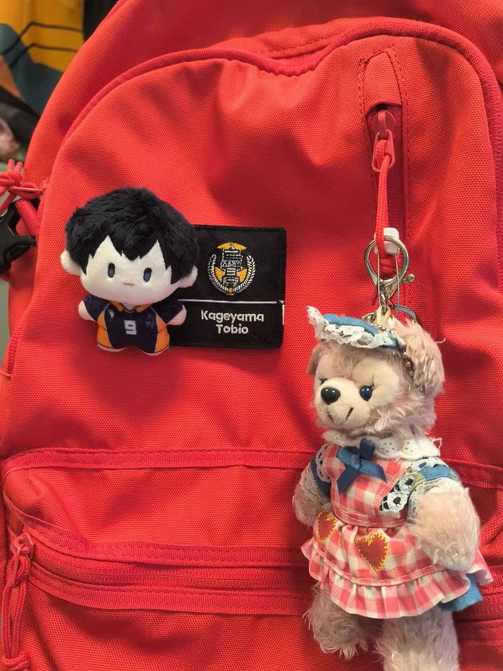 Haikyuu x POP MART Pin Plush plushie hq haikyu hinata kageyama ...