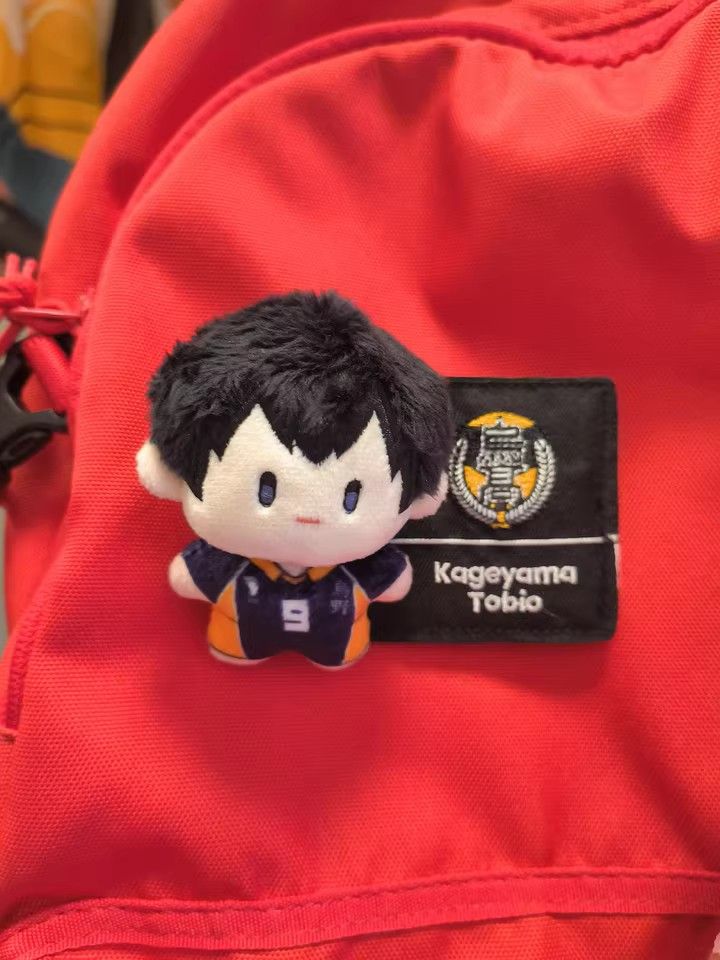 Haikyuu x POP MART Pin Plush plushie hq haikyu hinata kageyama ...