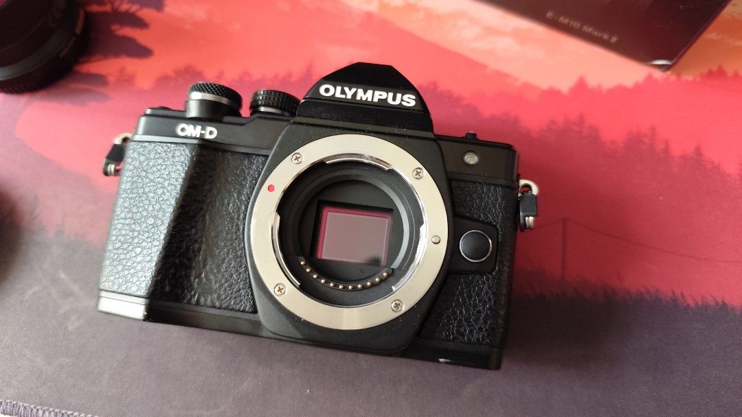 Olympus E-M10 Mark II and Olympus M.Zuiko 45mm f/1.8, Photography ...