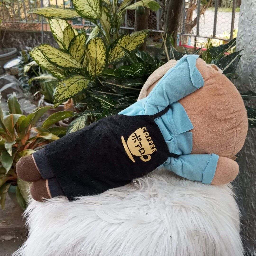DETECTIVE CONAN Fei Furuya/ Tooru Amuro Cafe ver. Nesoberi 15 inches ...